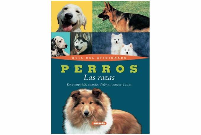 Libros Sobre Perros para 2021 - LOS 25 MEJORES 📚 📖 📘